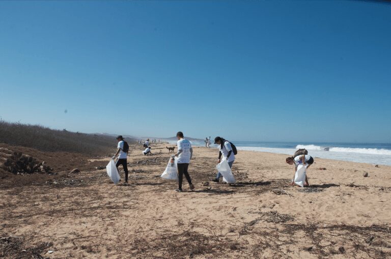 ABOUT | Ocean Legacy Foundation